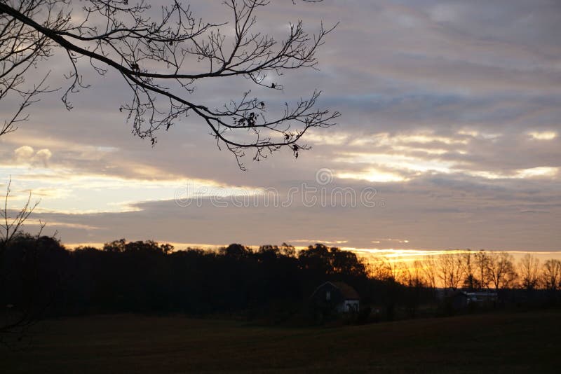 Sun from behind tree line stock photo. Image of light - 106775624