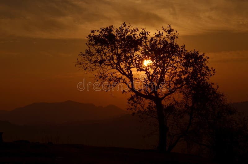 Sun behind the tree stock image. Image of valley, nature - 75192697