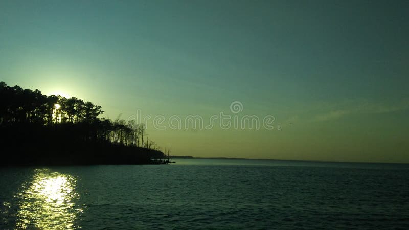 View from Boat Overlooking Treeline with Sun Behind it Reflecting ...