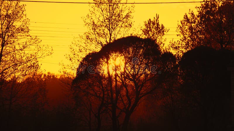 The Sun Behind the Trees at Sunset Stock Photo - Image of dawn ...