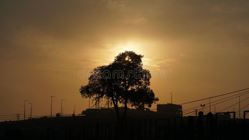 Sun Behind Tress stock photo. Image of morning, sunlight - 178895044