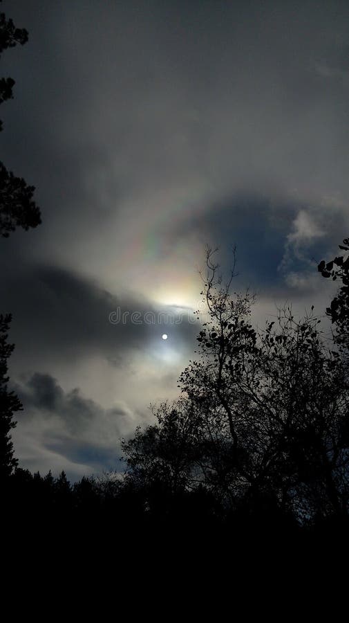 Last Seen Little Black Dress Stock Photos - Free & Royalty-Free Stock ...