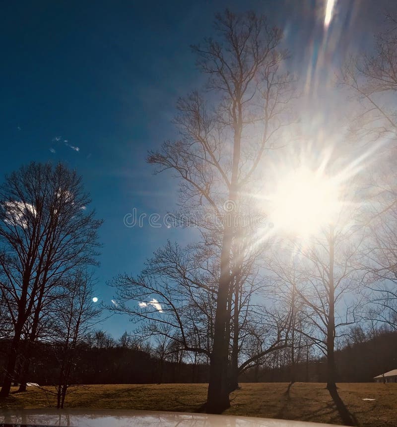 Sun rays through trees stock image. Image of sunlit, daytime - 78632251