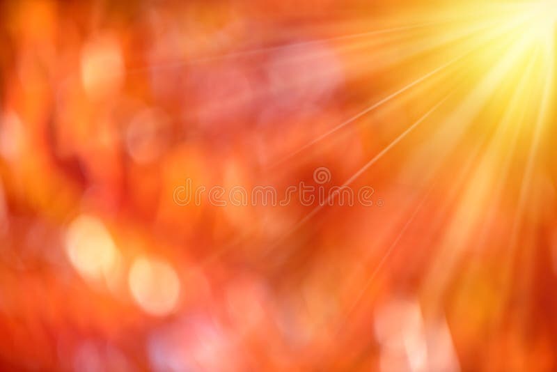 Sun in the Blurry Red Leaves Background Stock Photo - Image of blurred ...