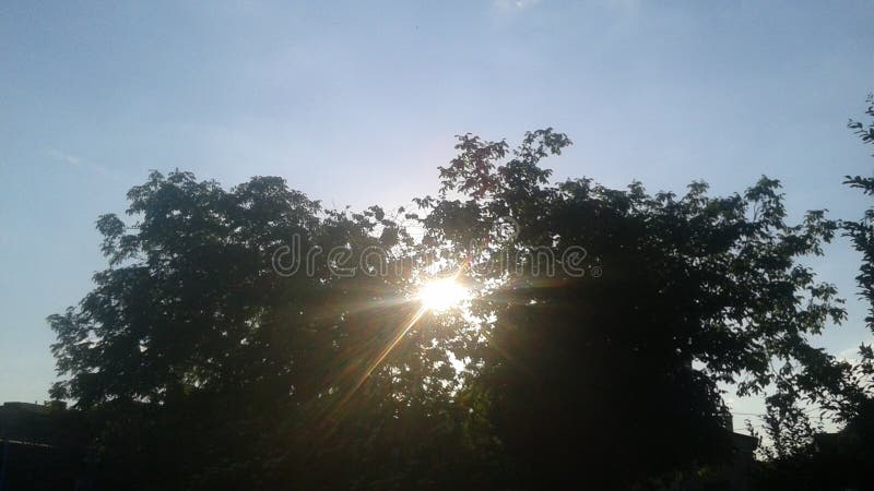 The Sun Breaks through the Branches of the Tree Stock Image - Image of ...