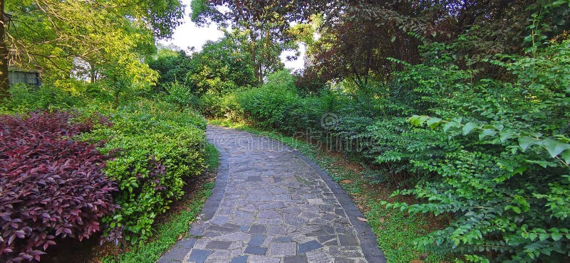 A path in the park stock image. Image of park, sunlight - 246654257