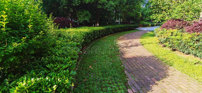 A path in the park stock image. Image of sides, pathway - 246522179