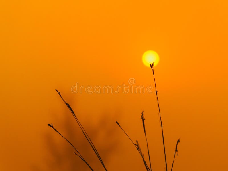 Sun or a Bulb stock image. Image of sunrise, sunset - 136666081