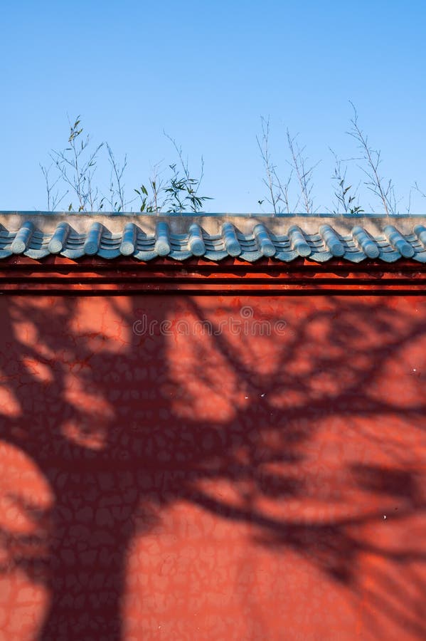 The Sun Cast the Shadow of the Tree on the Red Wall, a Temple in Good ...