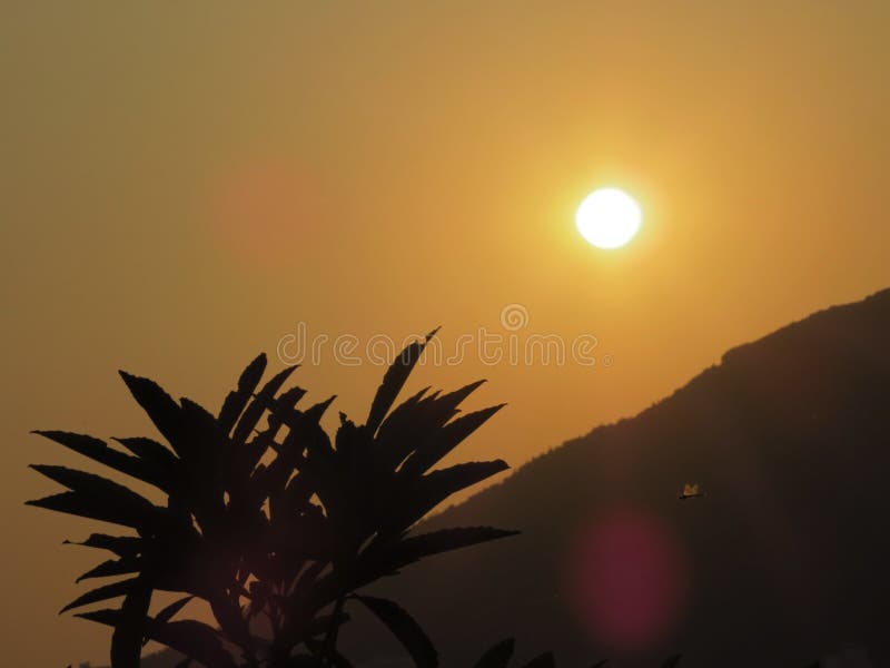 The Sun, Close Up of the Orange Sun Stock Photo - Image of scene ...