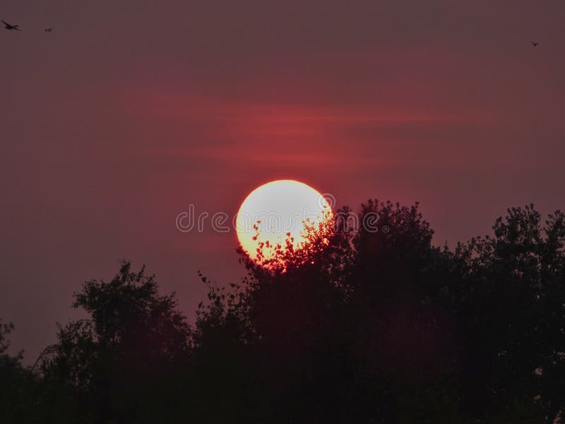 The sun stock photo. Image of illuminate, light, lens - 258654060