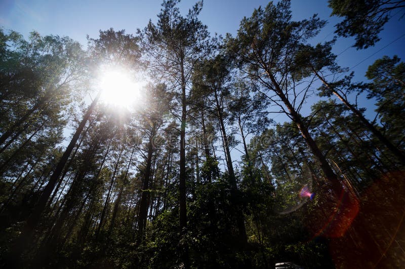 Sun and Clouds , Night Sky with Stars, Wide Angle Stock Photo - Image ...