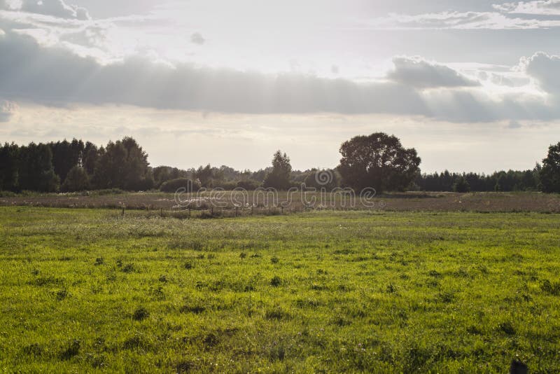 Sun and Clouds Over the Pasture Stock Photo - Image of plant, herb ...