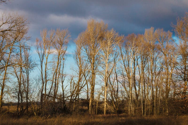 Sun on a cloudy spring day stock image. Image of environment - 178470181