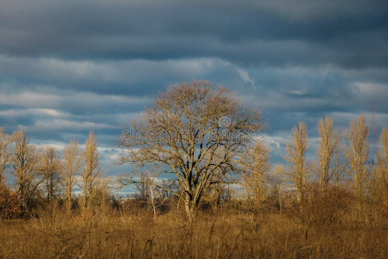 Sun on a cloudy spring day stock photo. Image of natural - 178470424