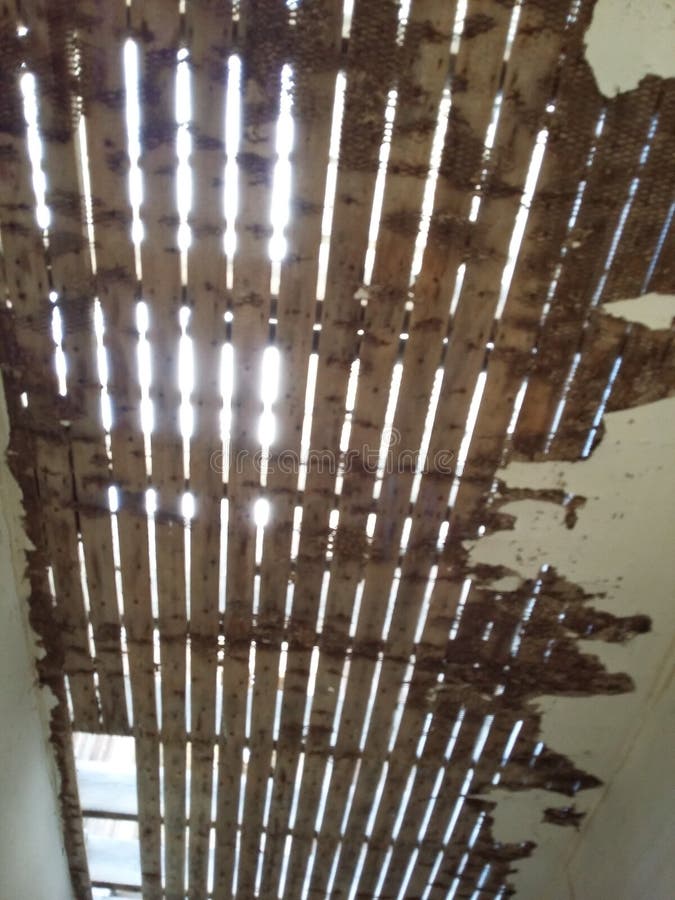 Ceiling stock photo. Image of coming, wood, building - 106882548