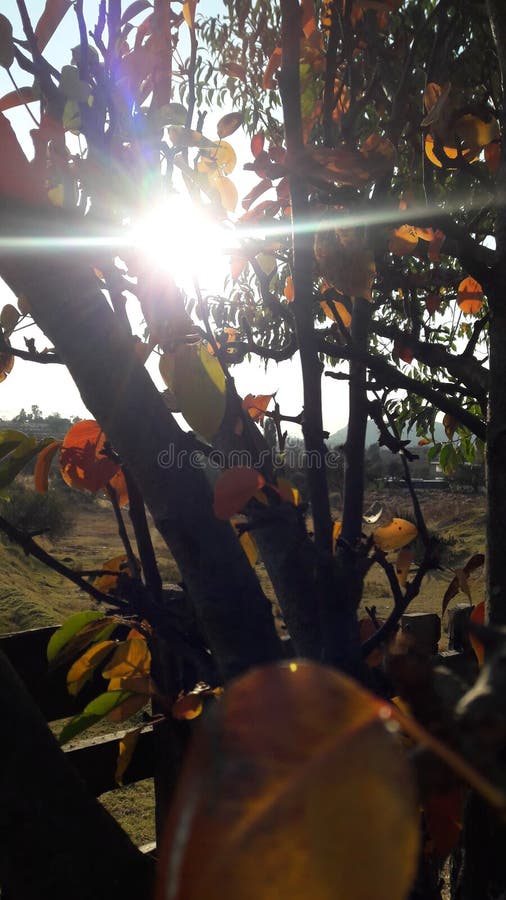 Sun is coming stock image. Image of yellow, coming, nature - 168302579