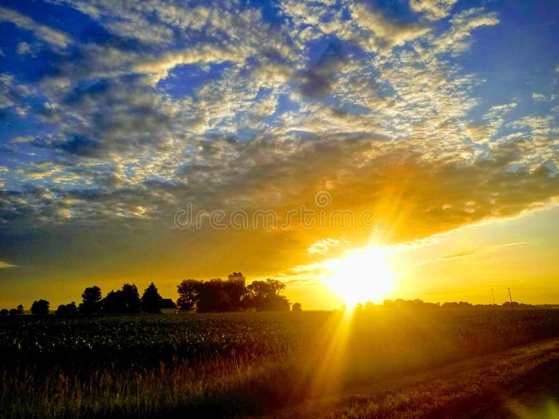 Sun on crops stock photo. Image of afterglow, yellow - 190238638