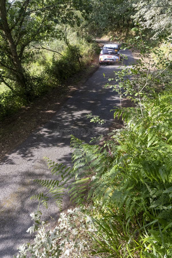 Sun-Dappled Streamside Path Editorial Image - Image of foliage, pathway ...