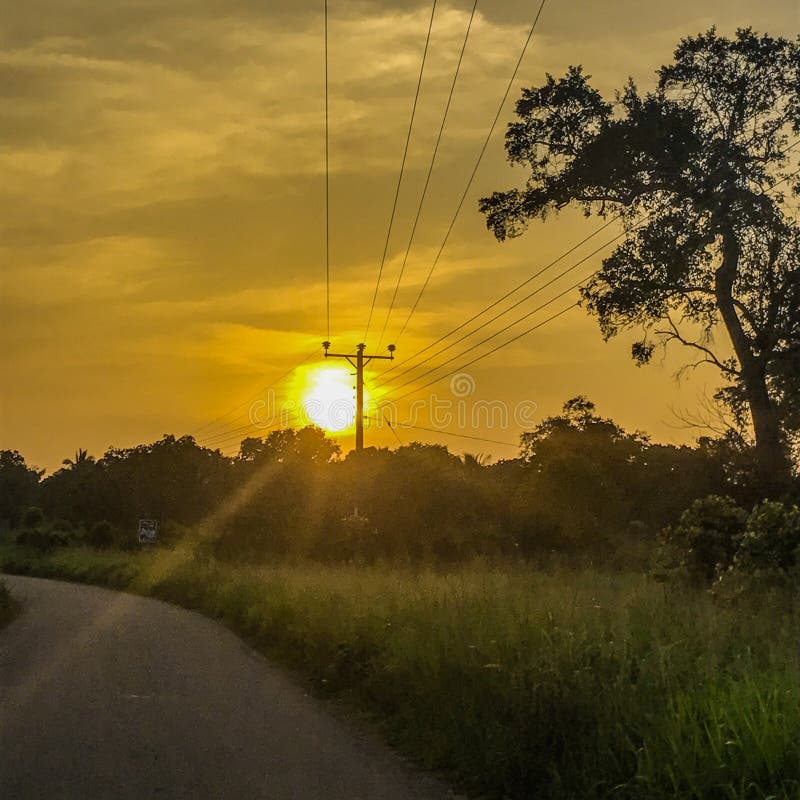 Sun is Dawning among the Forest Stock Image - Image of dawning, yellow ...