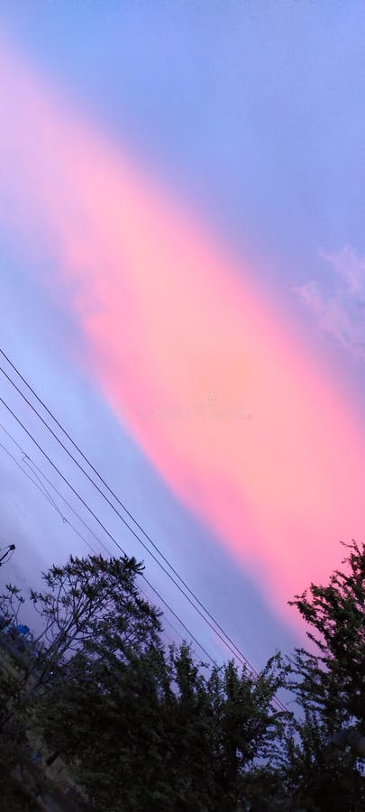 Sun dim lights stock photo. Image of plants, lights - 239058948