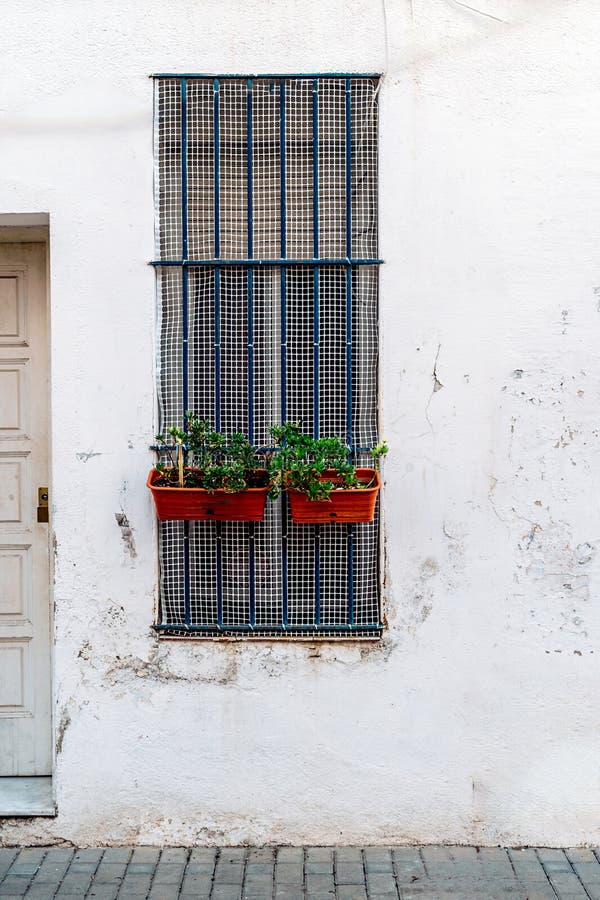 Sun-Drenched Window Box: a Vibrant Splash of Color Against a ...