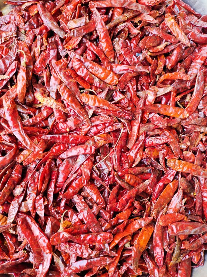 Sun Dried chilli stock image. Image of spices, food - 184835179