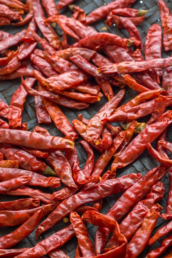 Sun-dried Chilli Peppers in Threshing Basket. Stock Photo - Image of ...