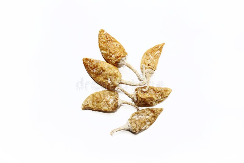 Sun Dried Curd Chilly Stock Image Stock Photo - Image of flower, fries ...