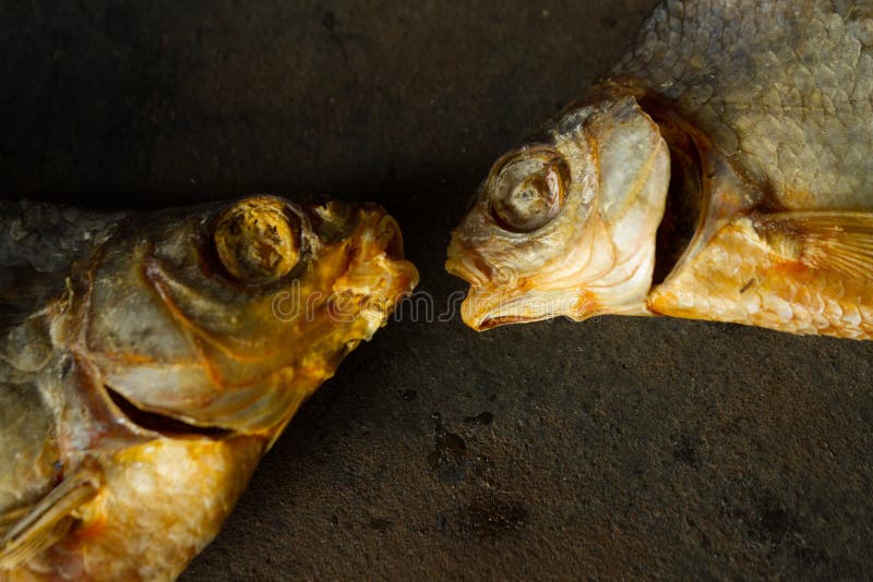 Sun dried fish stock photo. Image of beverage, snack - 249006682