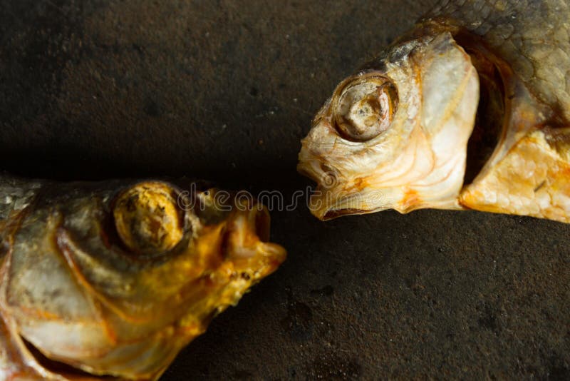 Sun dried fish stock image. Image of delicious, food - 249006787