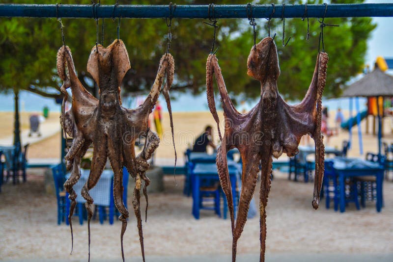 Sun dried octopus stock image. Image of food, fresh, sizzling - 77316911