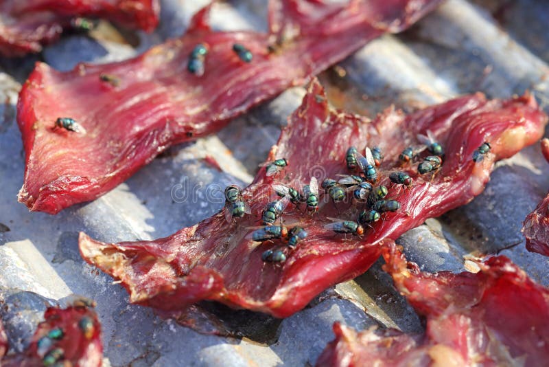 Flies stock image. Image of funny, gnat, life, couple - 23974957