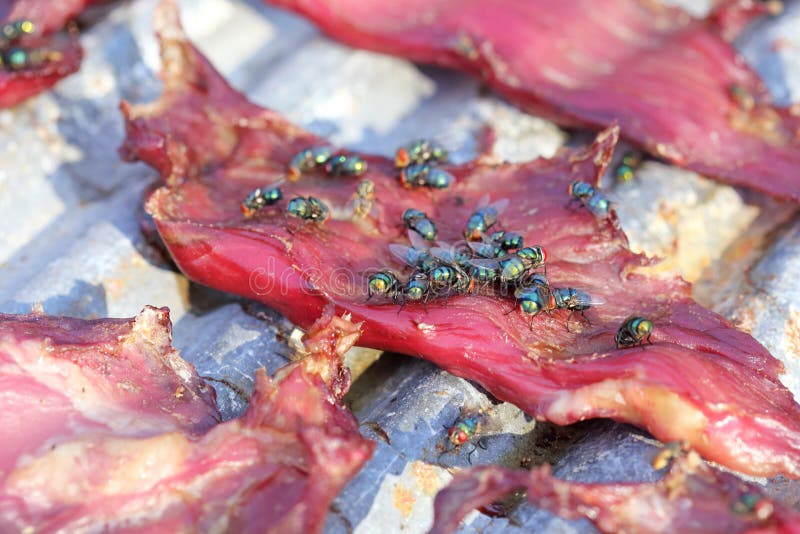 Sun-dried pork with flies stock photo. Image of protein - 70198070