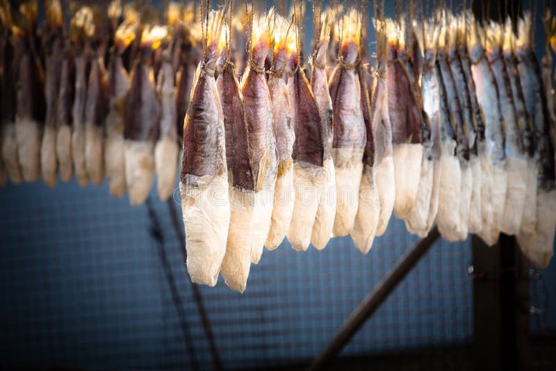 Dried salted cod stock photo. Image of seafood, market - 16912862