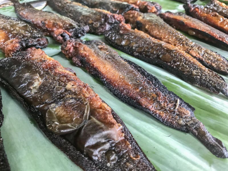 Sun dried salted fish stock photo. Image of healthy - 112279780