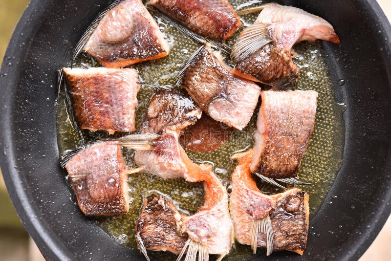 Sun-dried Snakehead Fish Fried in a Pan with Vegetable Oil Stock Image ...