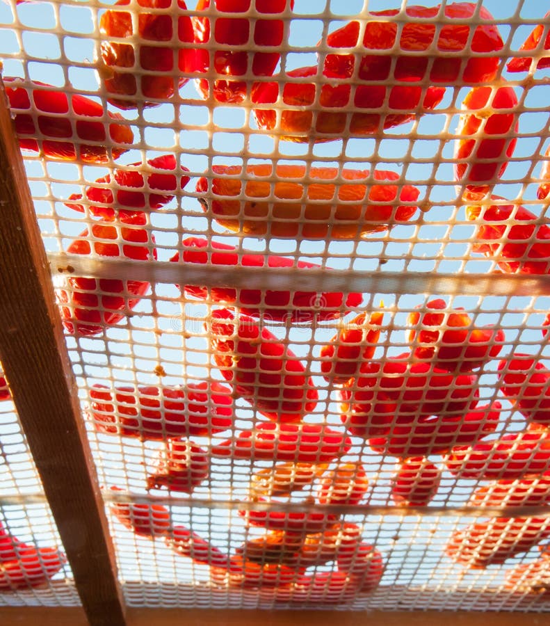 Sun-dried tomatoes stock image. Image of specialty, cook - 213989989