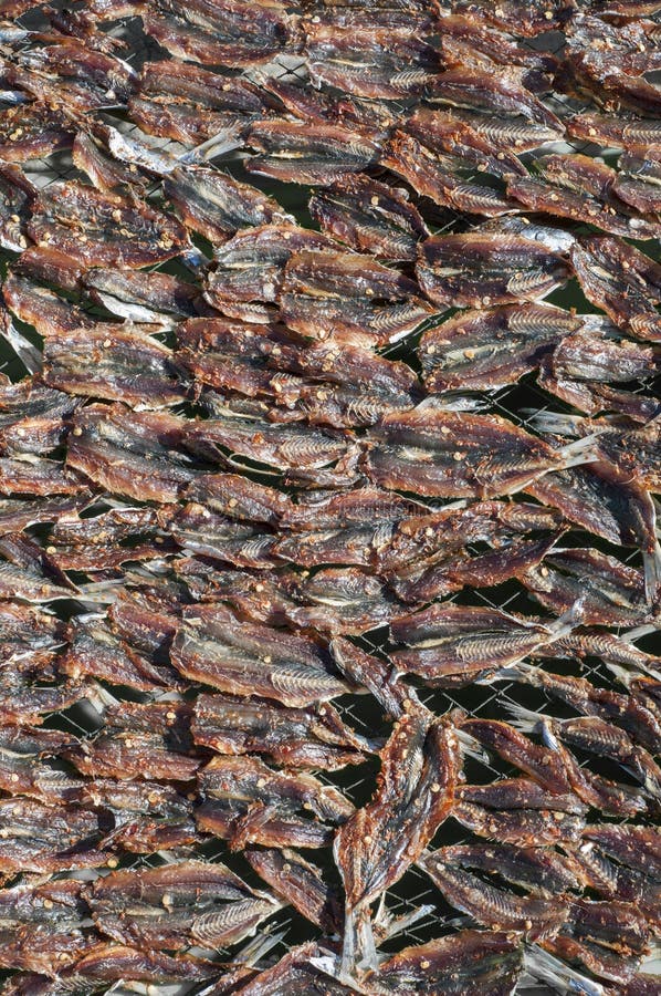 Sun drying fish stock image. Image of food, viet, dried - 110449433