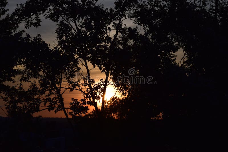 Sun at Dusk Hiding Behind Trees Stock Photo - Image of glowing, blue ...
