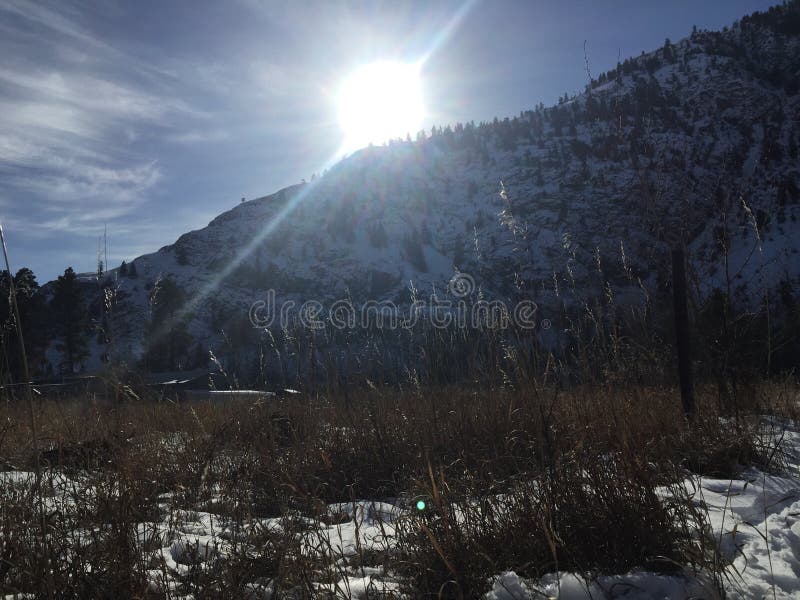 Sun at dusk stock photo. Image of trees, shining, nature - 87154464
