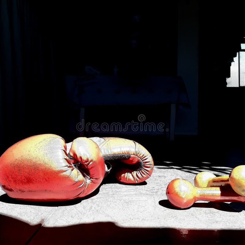 Sun Enlightened Boxing Gloves Stock Photo - Image of enlightened ...
