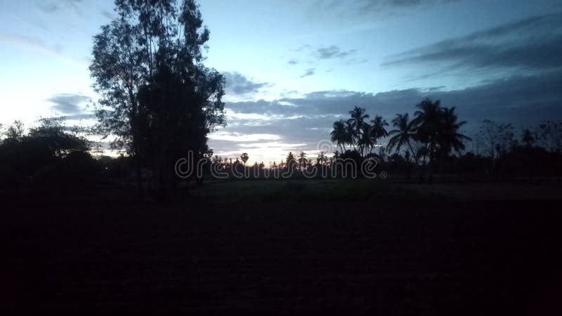 Sun in the Evening Time Sun Light in Tree Stock Photo - Image of tree ...