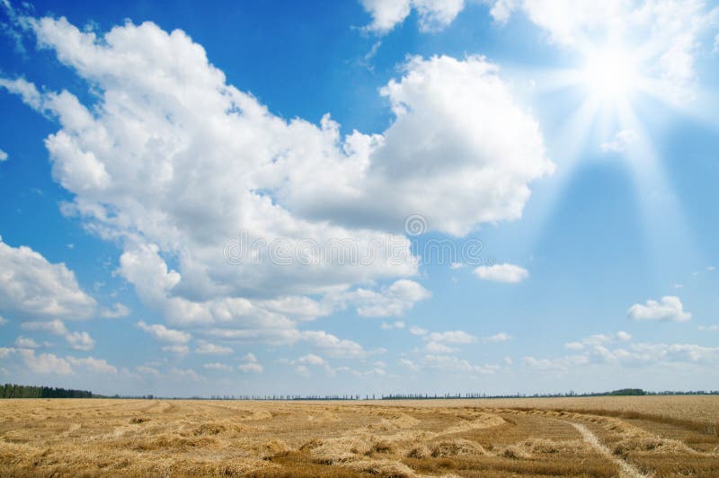 Sun and field stock photo. Image of clouds, macro, nature - 13125142