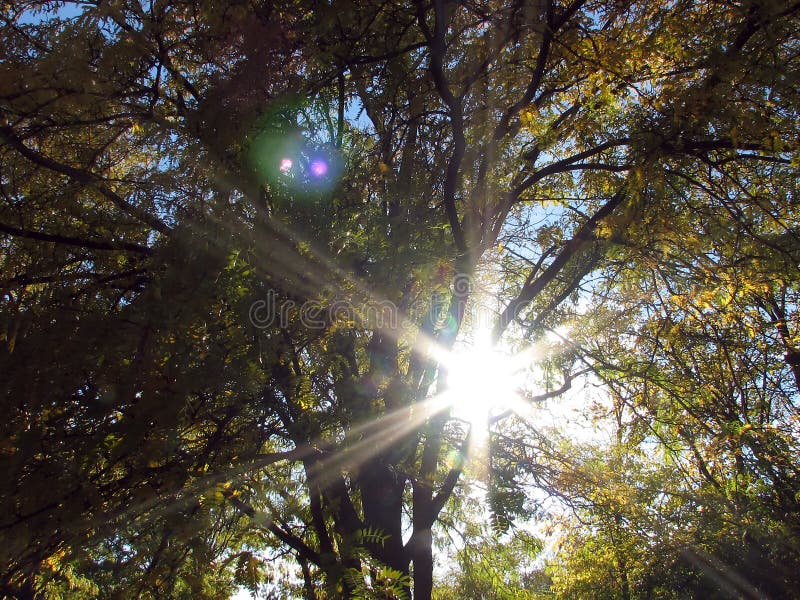 Sun Flare stock image. Image of point, fire, light, religion - 337793