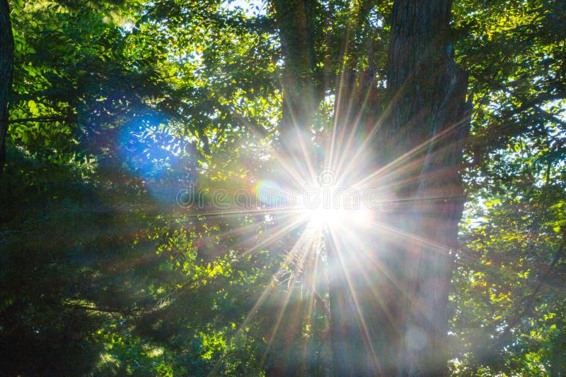 Sun Flare stock photo. Image of bright, beam, spring - 96771256