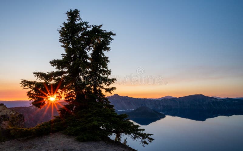 Sun Flare Under the Branch of a Pine Tree on the Rim of Crater Lake ...