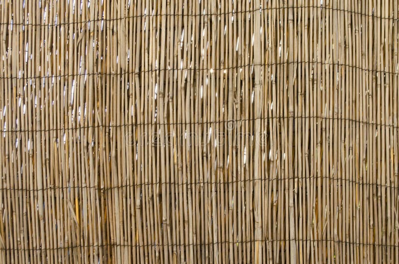 Garden Palings Stock Photos - Free & Royalty-Free Stock Photos from ...