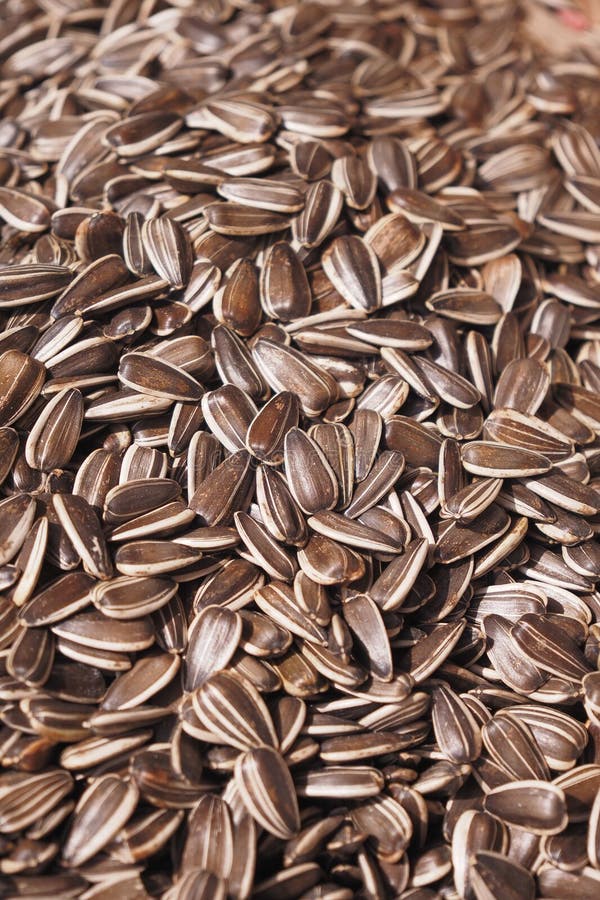 Sun Flower Seeds in a Bowl on Table Stock Photo - Image of aromatherapy ...