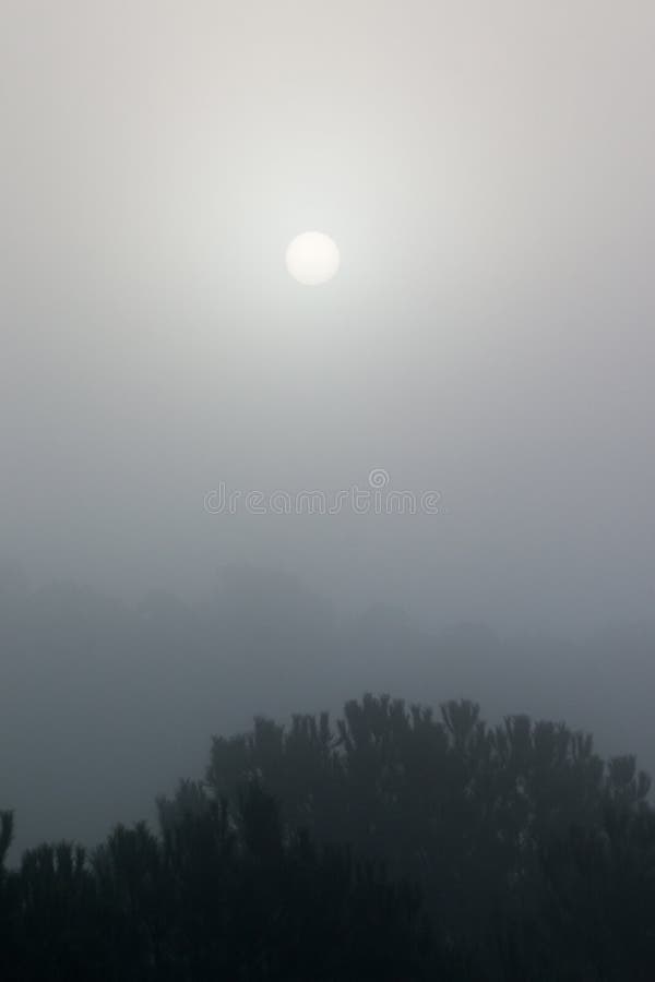 Sun in the fog stock photo. Image of natural, subtle - 105967658
